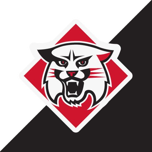 Davidson College Officially Licensed Vinyl Decal Sticker – R & R INC.